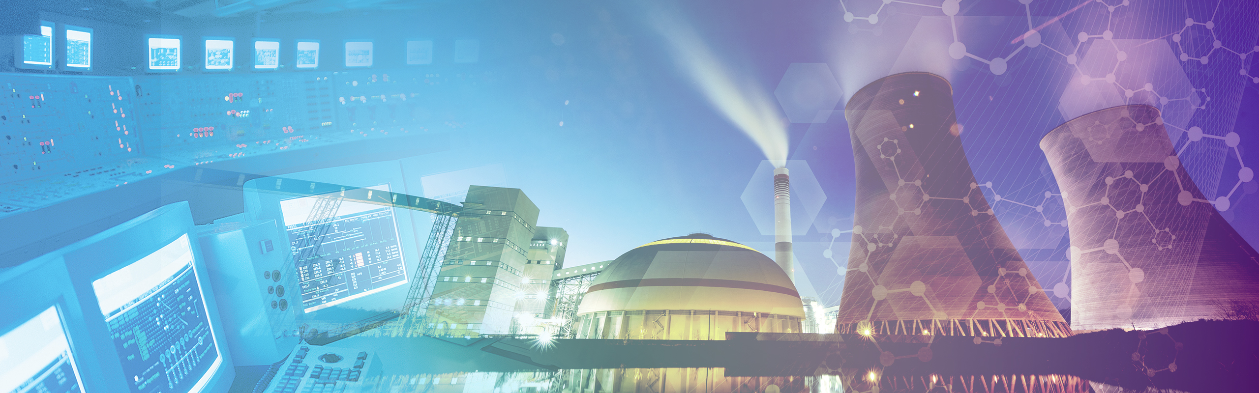 ICONE 30: The 30th International Conference on Nuclear Engineering ...