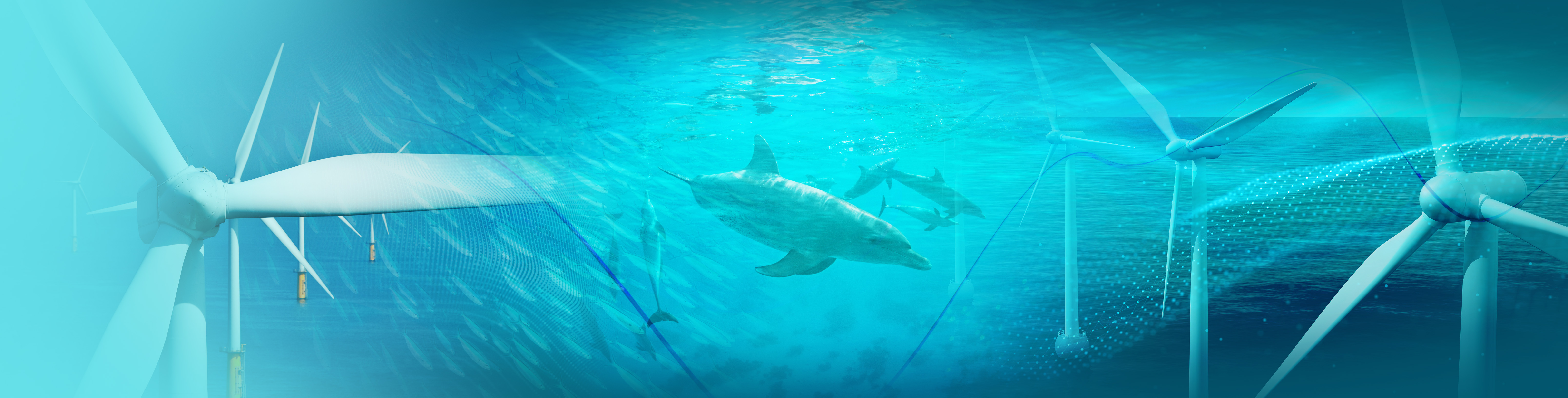 IOWTC 2025 - International Offshore Wind Technical Conference